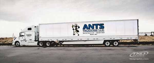 Ants Trailer Fleet Graphics – TKO Graphix